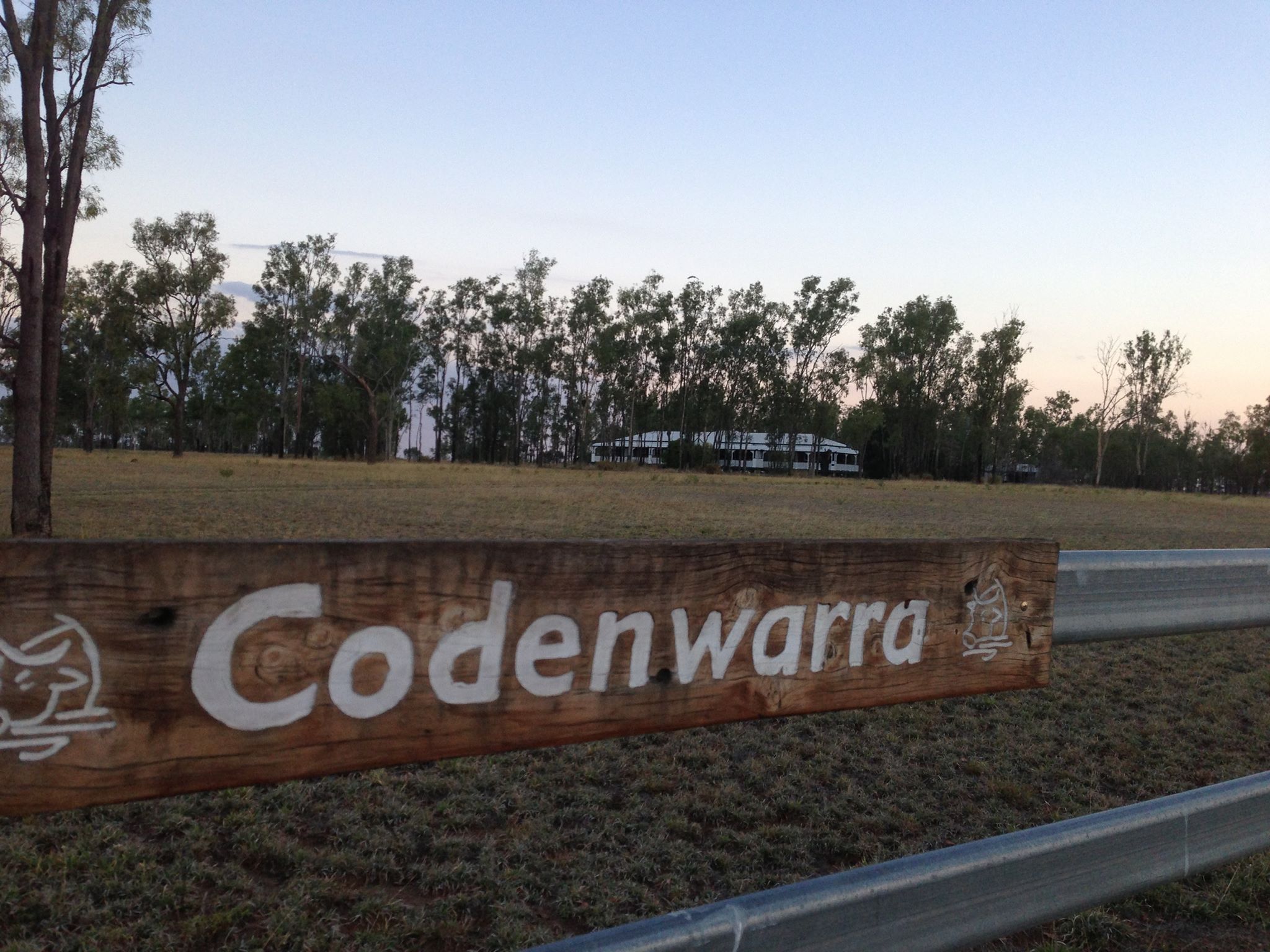 Our Family – Marathon Wagyu